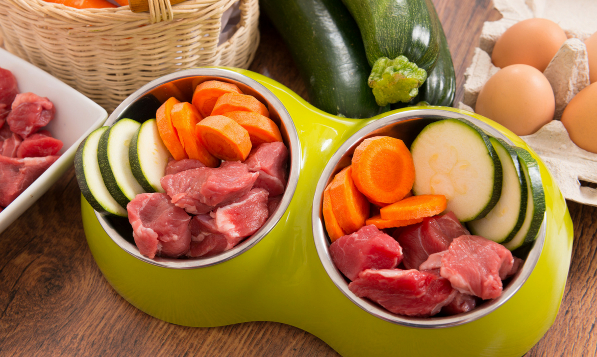 Quiz - Le Barf est-il fait pour vous ? - WanimoBuzz